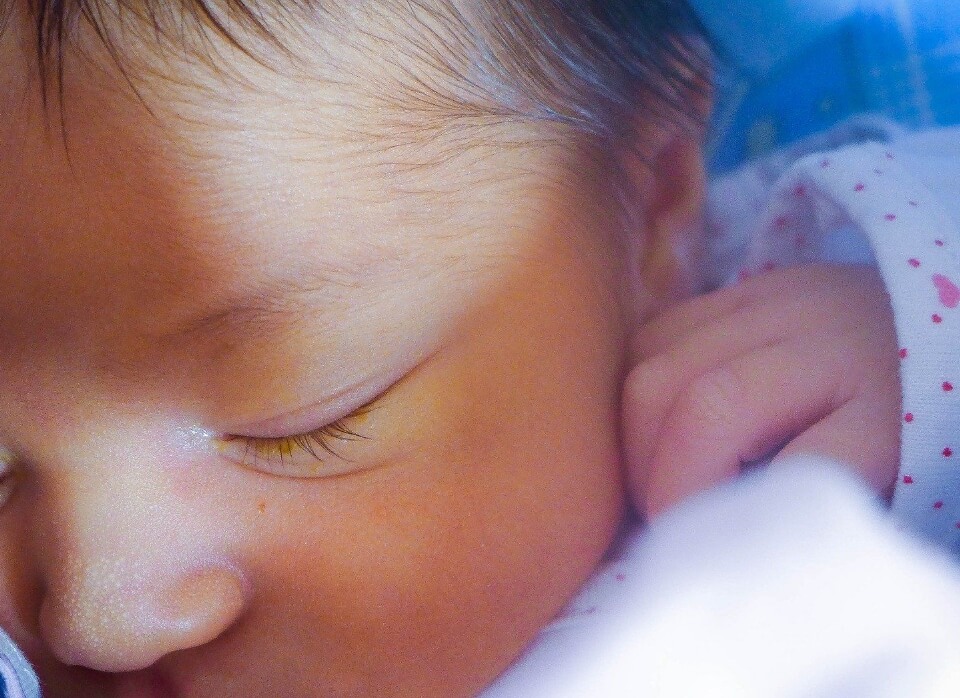 Our Programs - LPR Foundation